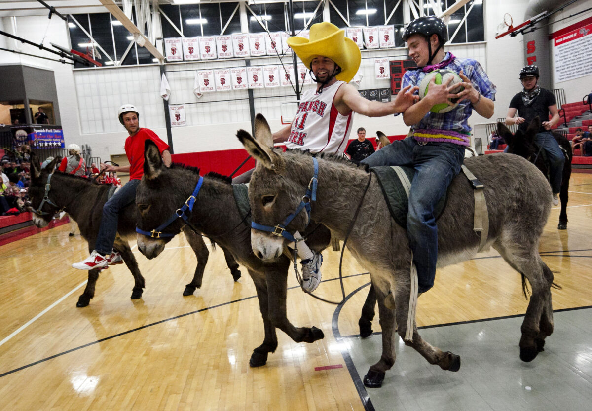 Students, teachers ride donkeys for a cause | News, Sports, Jobs ...